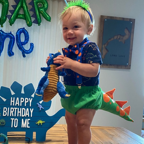 Peter Pan First Birthday Outfit - Etsy