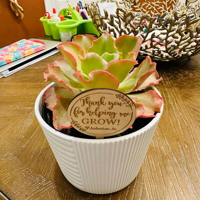 Thank You for Helping Me Grow Succulent Stakes Teacher Gift Plant ...