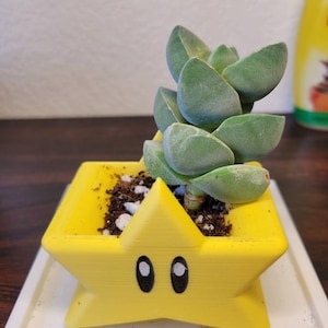 Mario Super Star Planter / Indoor House Plant/ Succulent/ Nostalgia ...
