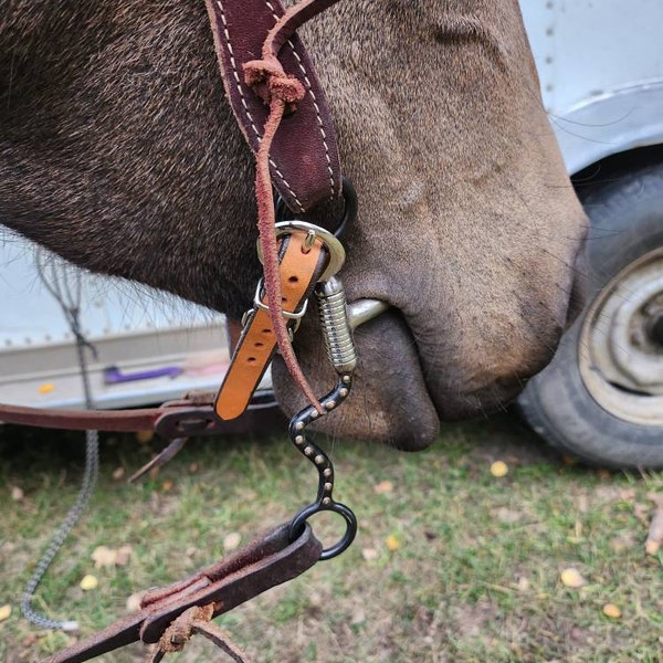 Cavalon Full Cheek Soft Leather Snaffle Bit - Etsy