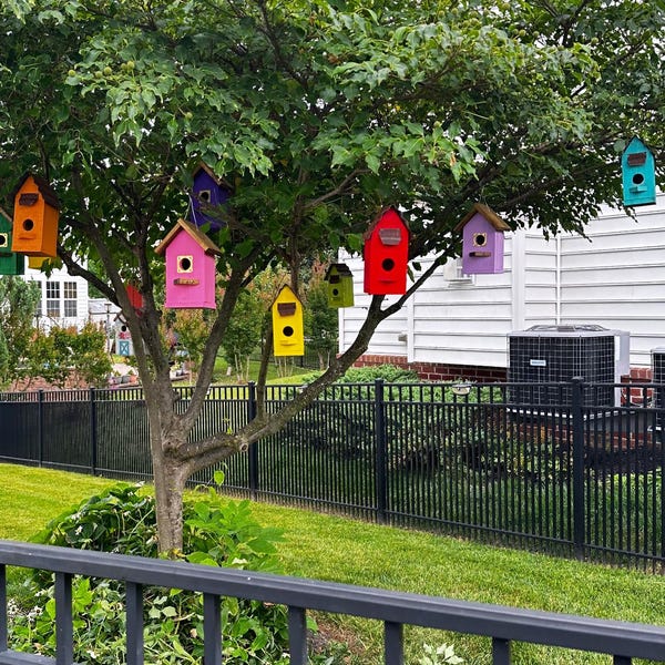 Custom Birdhouse, Outdoor Wood Birdhouse Pick Your Color - Etsy