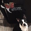 Boston Terrier Door Hanger, Dog Door Hanger, Dog Wreath, Boston Terrier ...