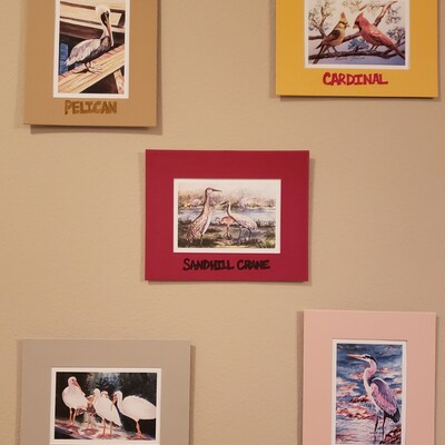 Tampa Landmarks Collage Trolley, University of Tampa, Fl Aquarium 9.5 X ...