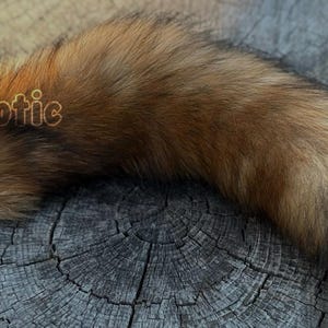 Choose Your Own, Real Fur Red Fox Tail Keychain With Swivel Clasp ...