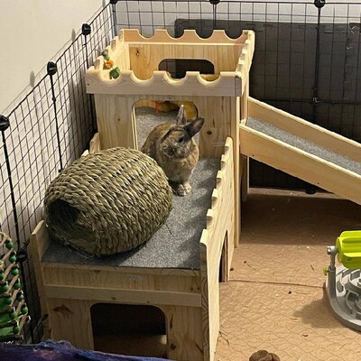 Rabbit Castle Tower Ramp Sold Separately - Etsy