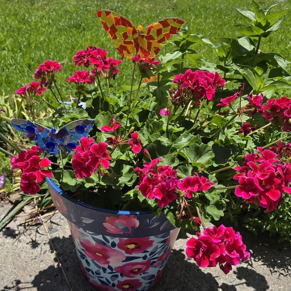 Clear Acrylic Squares With Rounded Edges - 2mm Thick - Bulk Sale in ...