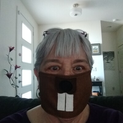 Groundhog Hat Headband//earwarmer//groundhog Day//punxsutawney,pa ...