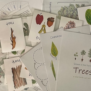Saguaro Cactus: Classroom Set With Posters, Readings, & Activities ...