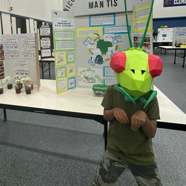 Praying Mantis Mask Paper Pattern | Insect Mask Halloween Mask DIY Mask ...