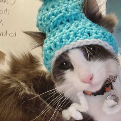 Cat Hat, Beanie for Cats & Kittens, Pom Pom Hat for Male Cats, Toboggan ...