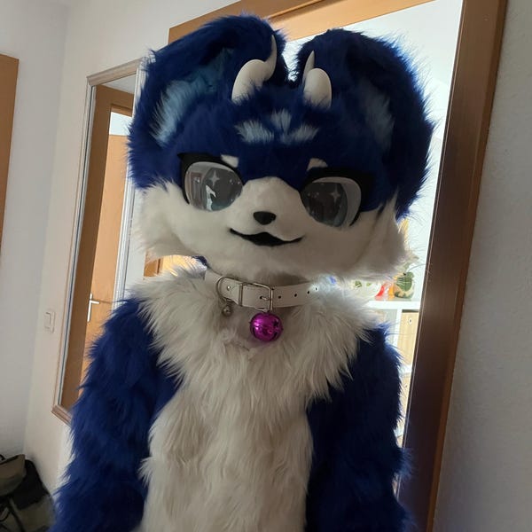 Fursuit, Custom Fursona, Full Personalized Fursuit Maker, Faux Fur, Kemono Commission, Persona ...