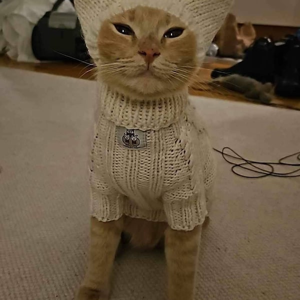 Yellow Cat Hat Hand Knit Sphynx Cat Accessories Pet Winter Beanie for ...