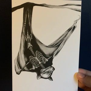 MONSTER MASH Watercolor Print on Paper Art Print Bat Bats - Etsy