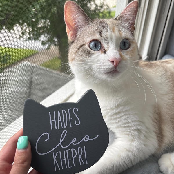 Funny Cat Sign, Cat Lovers Decor, Crazy Cat Lady, Funny Cat Quote, Wood ...