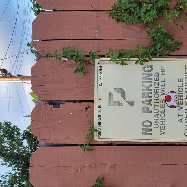 Toad Peeker Sticker - Decals for Car, Laptop, Phone, Console - Etsy