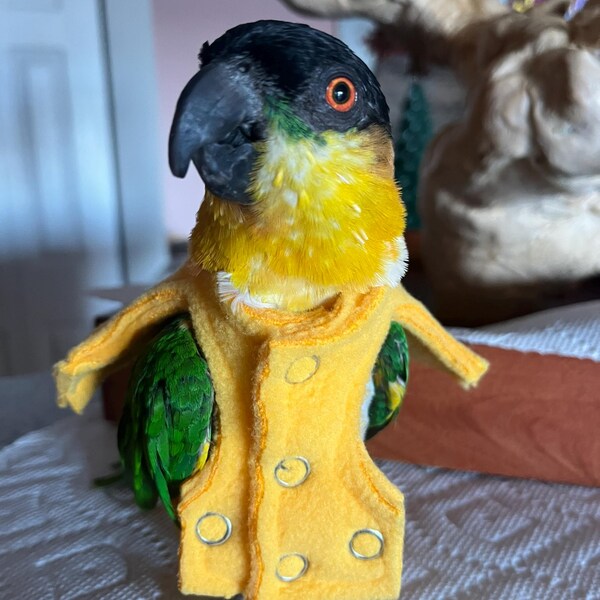 Vest E-collar Jacket for African Grey Parrots That Pluck & Pick ...