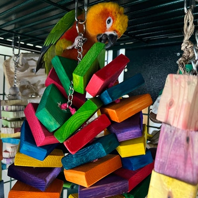 Macaw Ladder, Large Bird Toy - Etsy