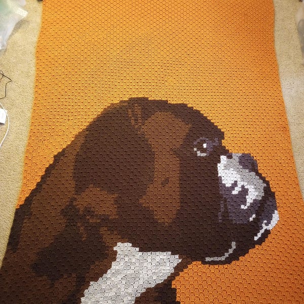 C2C Fire Department Logo Crochet Pattern With Written/color ...