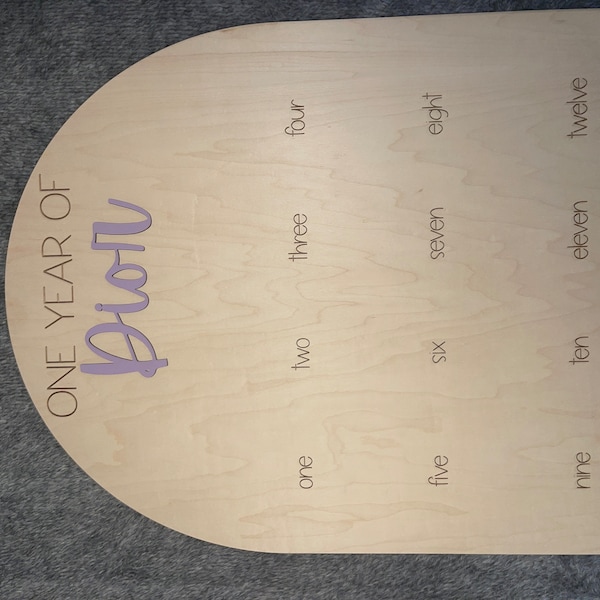 My First Year One Year of Photo Board Wooden Milestone Board 1st ...