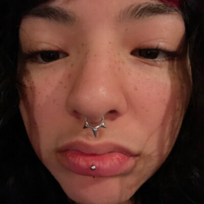 16G Implant Titanium Spike Hinged Segmet Septum Ring, Triple Spikes ...