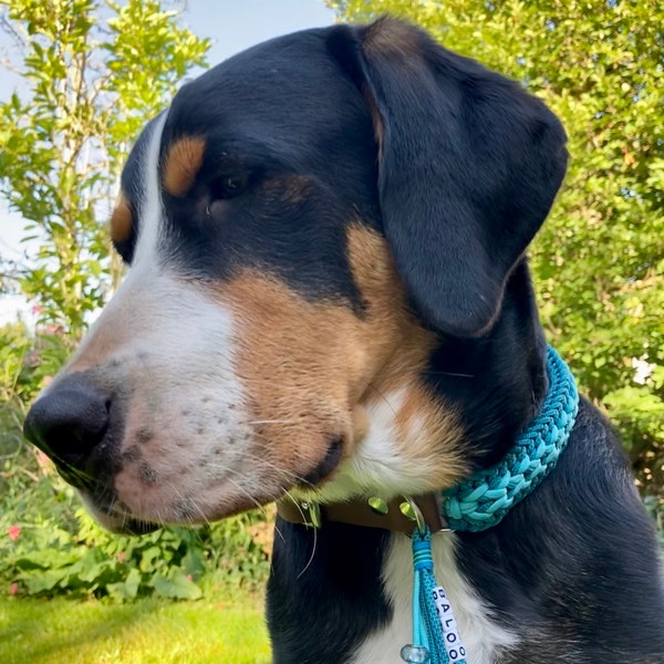 Dog Collar & Leash Set, W. Name Tag, F. Small or Large Dogs, Handmade F ...