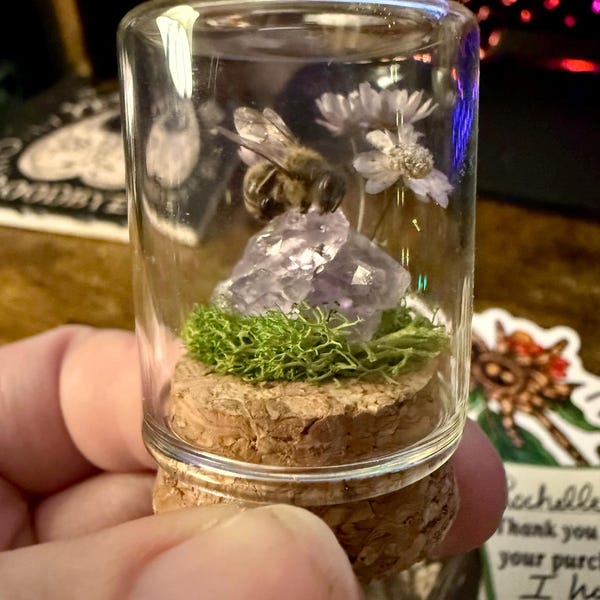 Velvet Spider Sticker - 3.5 Inch Glossy Sticker - Ladybird Spider ...