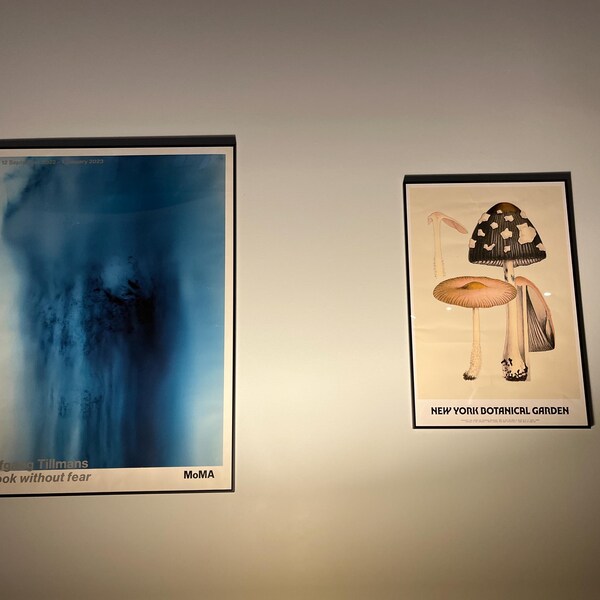 Custom Frames for Odd Poster Sizes in Inches Aluminum in 14 Colors ...