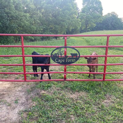 Metal FARM SIGN ,barn and Cow and Chickens Personalized Family Name ...