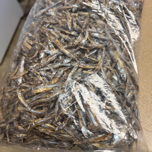 Dagaa Fresh| Mibichi| Indagara 1kg - Etsy