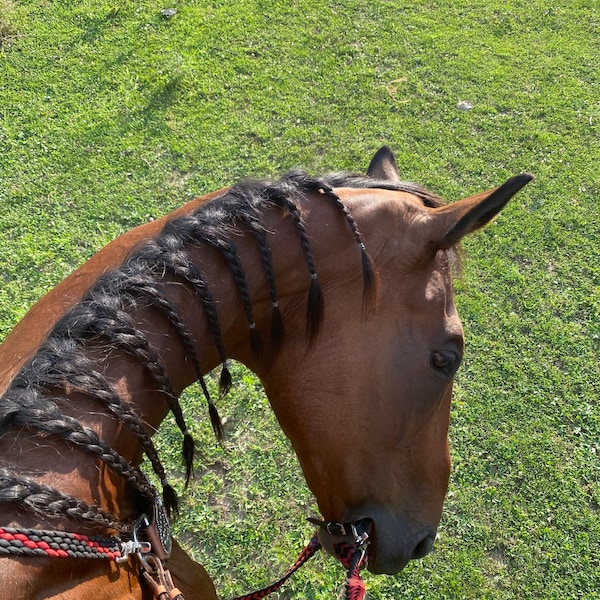 Spanish Bit Baroque Gold or Silver - Etsy