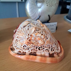 Hand Carved Pearl Mussels Shell Large Sizewith - Etsy