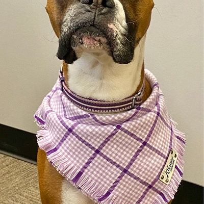 Huckleberry Dog Bandana summer, Spring, Rustic, Flowers, Floral, Summer ...