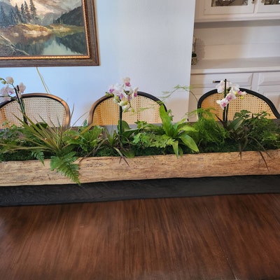 Massive Antique Bleached Wood Trough Planter, Wooden Trough, Tree Trunk ...