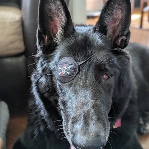 Custom Eye Patch for Dogs or Cats 100 % Cotton/ No Felt - Etsy