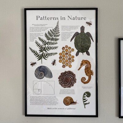 Patterns in Nature Math School Room Poster 12 X 18 Montessori ...