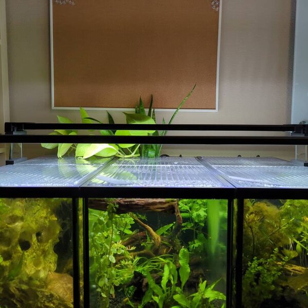 Aquarium CO-OP Light Riser, Attractive Stable Elevated Stand, Quality ...