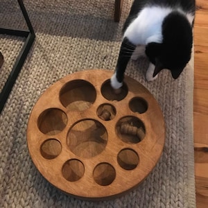 Cat Toys Push'n'ring. Interactive Cat Toy, Best Cat Toys, Cat Furniture ...