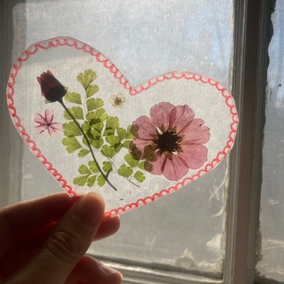 White Ruscus Branches, Premium Bleached Italian Ruscus, Dried DIY ...