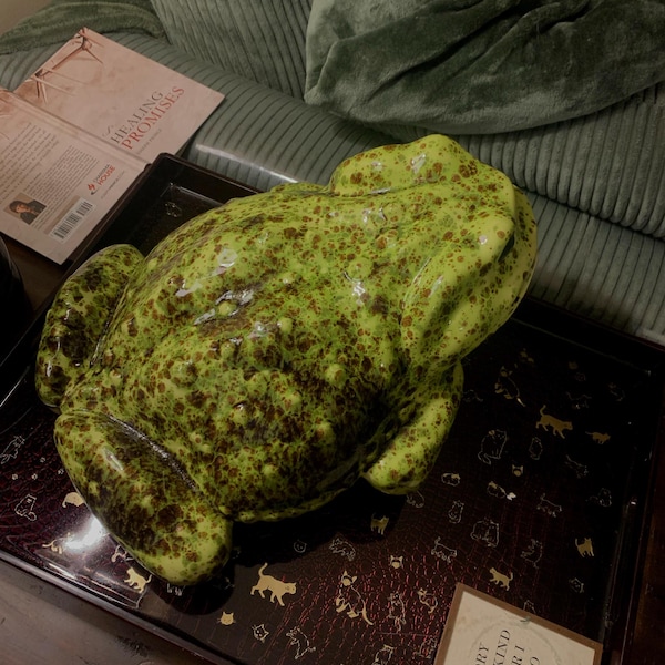 CUSTOM Painted Ceramic Arnel Toad Toilet Paper Holder LARGE - Etsy