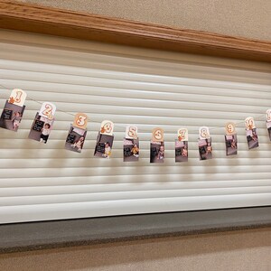 Cinderella Tennis Sticker Tennis Racket Sticker Waterproof - Etsy