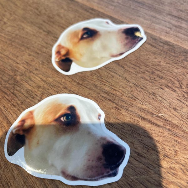 Christmas Stocking Stuffer - Sticker of Family Pet - Etsy