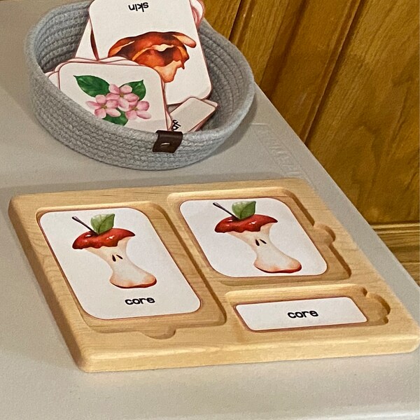 Montessori Inspired Nomenclature 3 Part Activity Card Tray Maple Wood ...