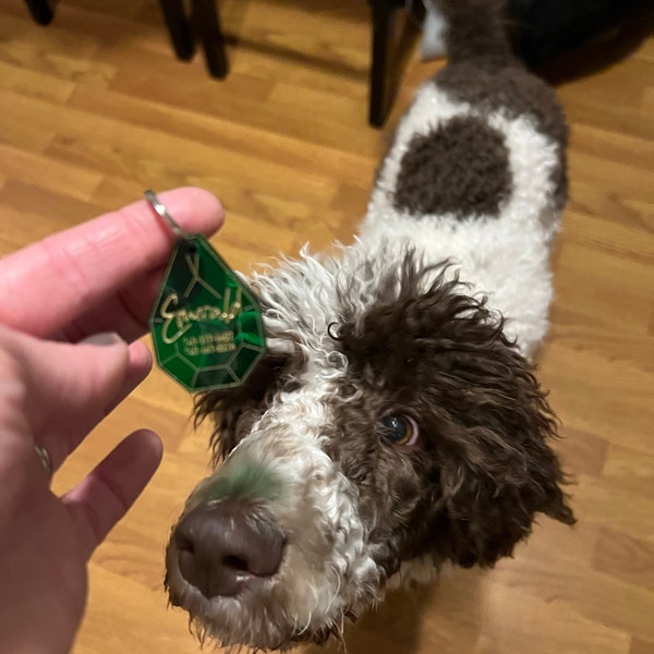 Glamorous Gem Personalized Pet Tag, Fancy Cat and Dog ID Tag, Ruby - Etsy