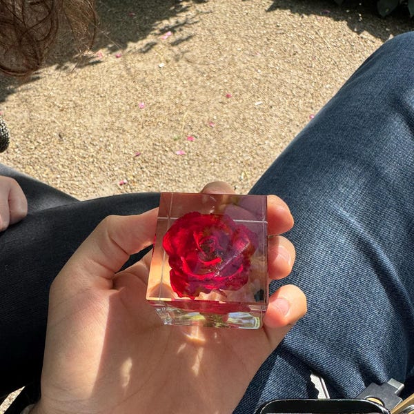 Red Daisy Flower Epoxy Resin Cube - Meaningful Girlfriend Home Decor ...