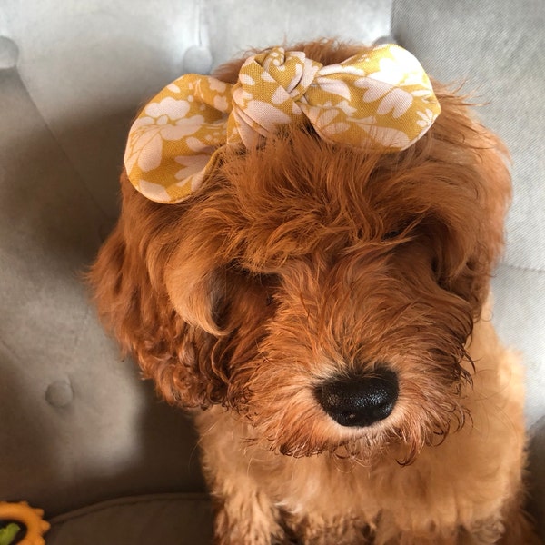 Dog Hair Bow for Dogs, Dog Hair Clip, Fall Hair Dog Bows, Hair Clip for ...