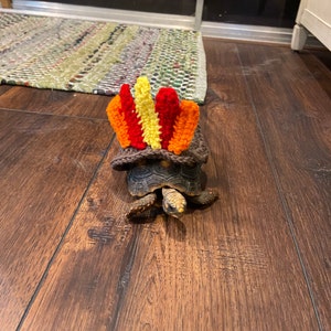 Custom Tortoise Diaper | Etsy