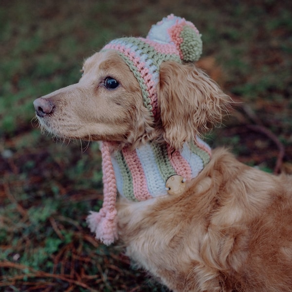 Dog Beanies, Crochet, Sausage Dog, Dachshund, Weiner Dog, Beanie, Large ...