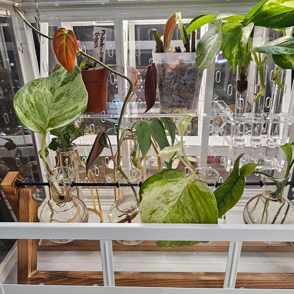 AKERBAR Desktop Greenhouse (17in) Acrylic Pegboard and Shelf Kit for ...