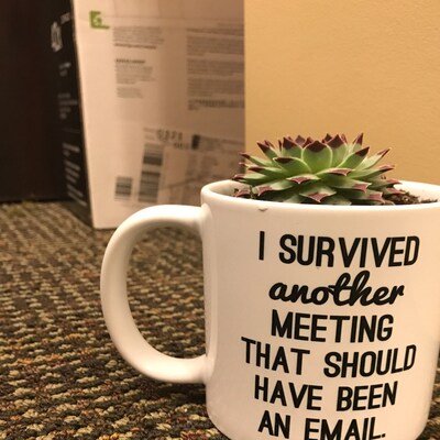 Co-worker Office Gift Idea, I Survived Another Meeting That Should Have ...