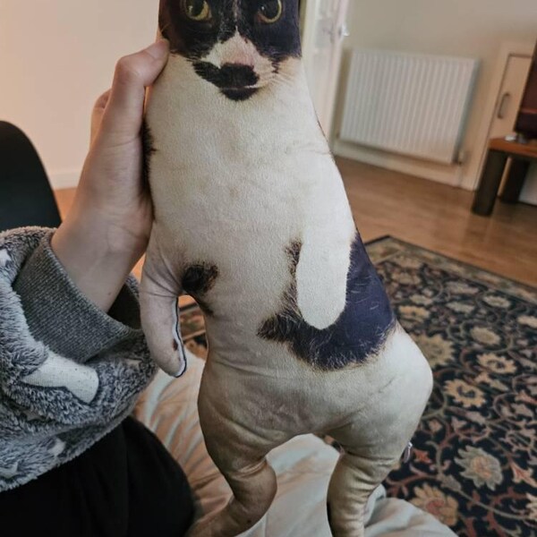 Moo Deng | Moo Deng Keychain | Moo Deng | Hippo Car Accessories | Moo ...